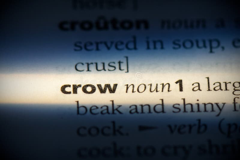 Crow stock photo. Image of isolated, crow, learn, highlighted - 161578034