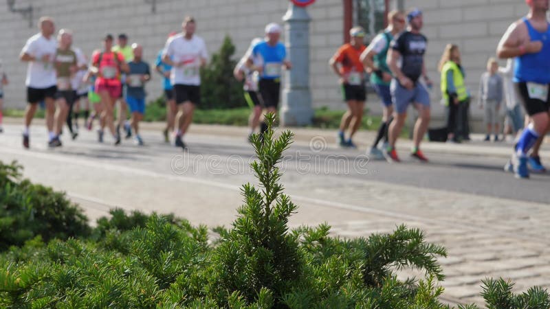Crowd of Athletes Running at the Marathon in Background Stock Footage ...