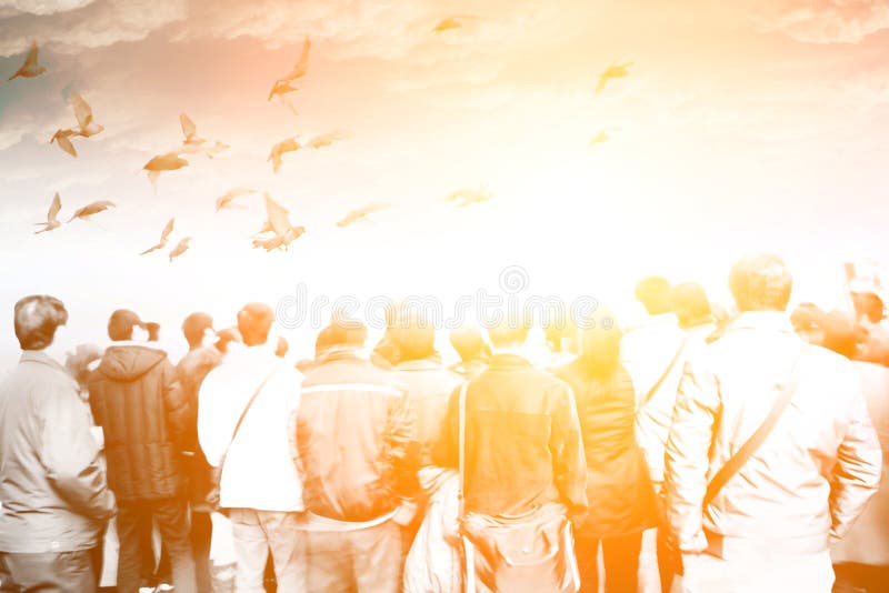 Crowd Audience Back View Freedom Stock Photos - Free & Royalty-Free ...