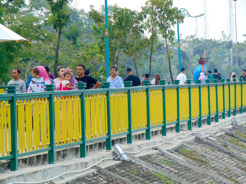 The Crowd in the Park editorial photography. Image of park - 115839797