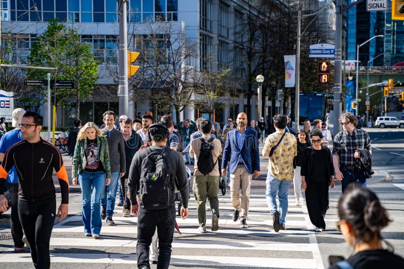 Crowd of People at the Crosswalk in Downtown Toronto. Editorial Stock ...