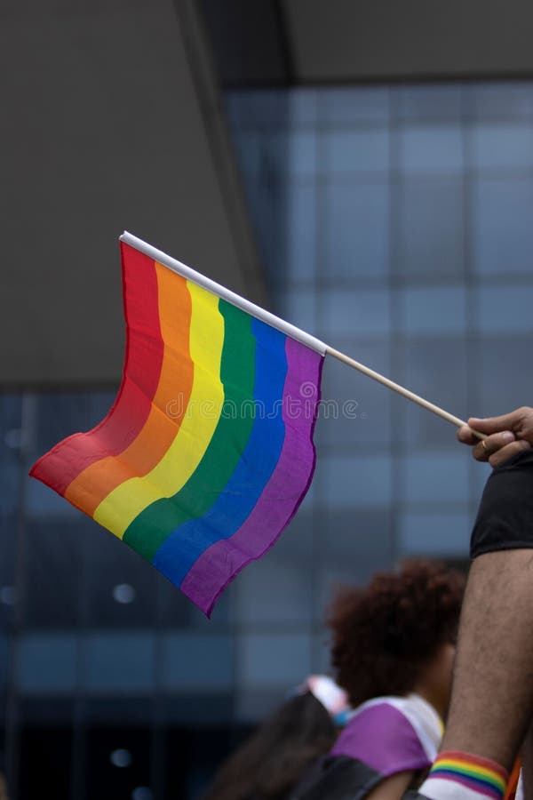 Crowd of People Holding a Rainbow-colored LGBTQ Flag in the Foreground ...