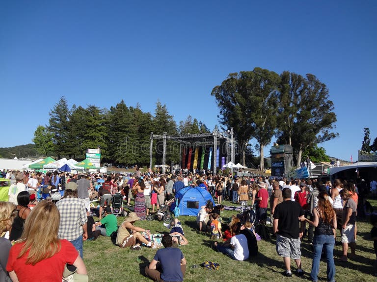 Crowd Watches Band Jam on Stage Editorial Photo - Image of person ...