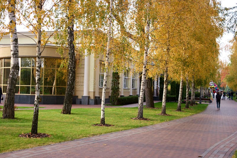 Crowded autumnal park. stock image. Image of forest - 175120255
