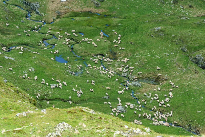 Crowded Hiking Group And Peak Success Stock Photo - Image of crowded ...