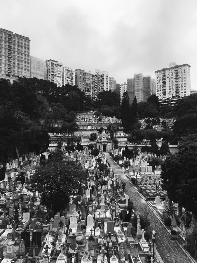 Crowded stock photo. Image of crowded, cemetery, kong - 72905588