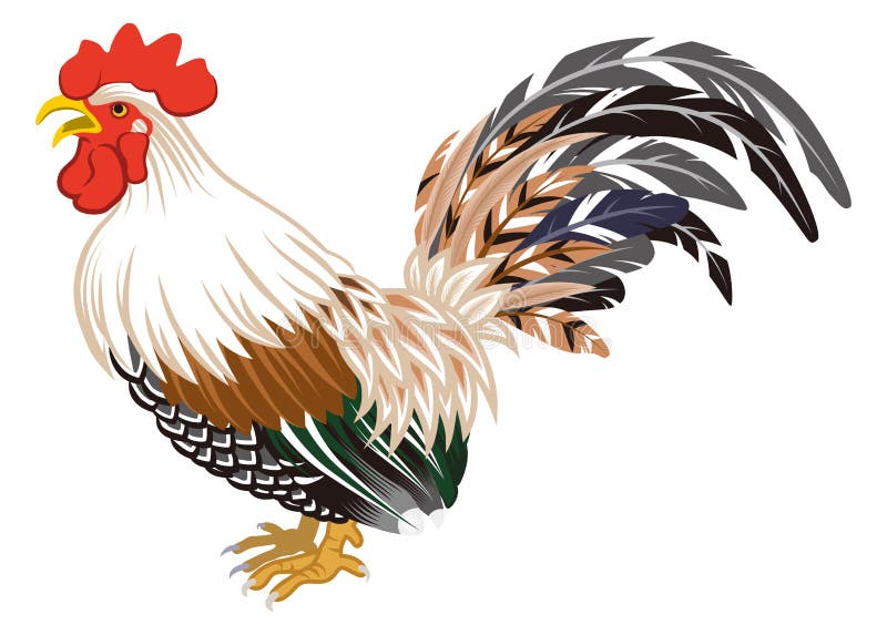 Crowing Rooster Isolated stock vector. Illustration of sign - 75398194