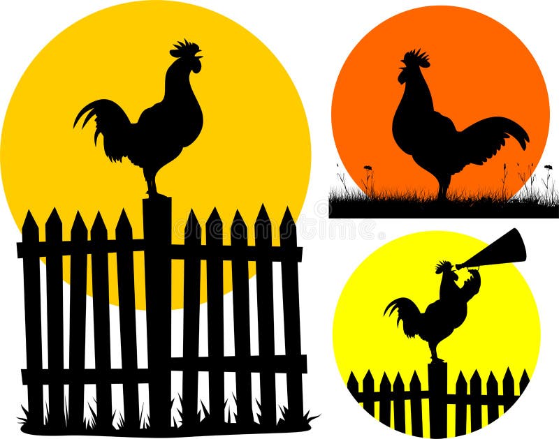 Crowing Rooster on the Sunrise Background Stock Vector - Illustration ...