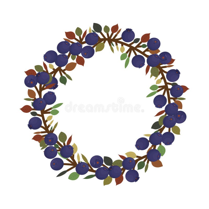 Crown Contour with Blueberries Branch Stock Vector - Illustration of ...