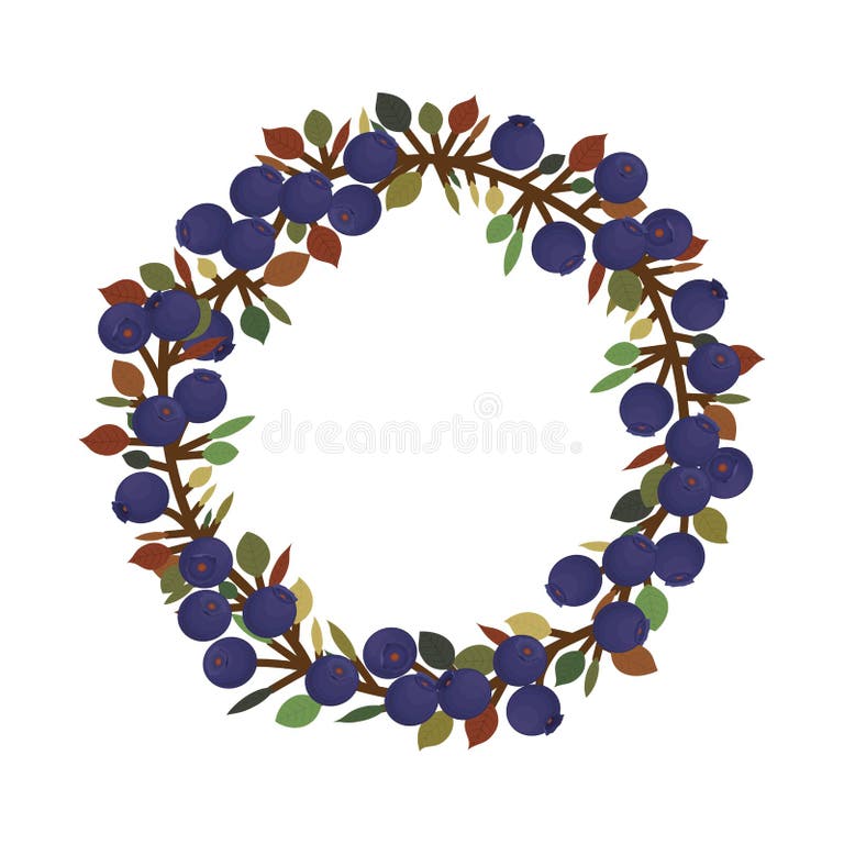 Crown Contour with Blueberries Branch Stock Vector - Illustration of ...