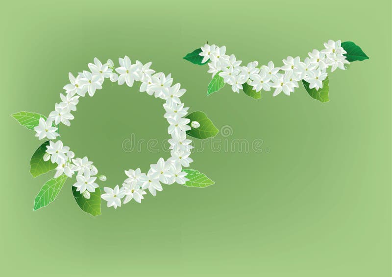 Crown Jasmine Flowers with Leaves Top View and Side View . Stock ...