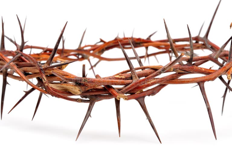 Crown made of thorns stock image. Image of crown, christ - 8719187