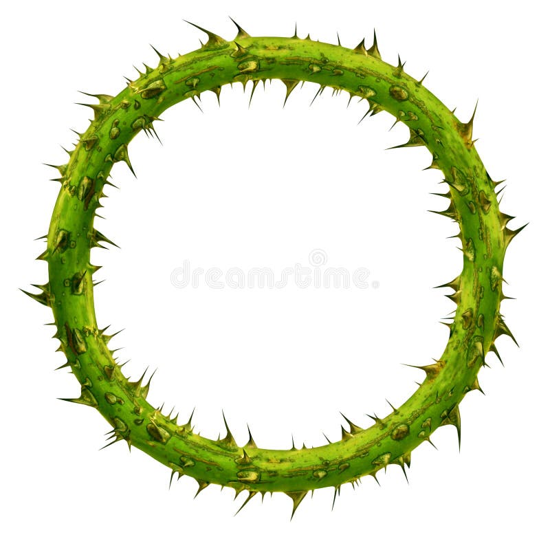 4+ Thorny frame Free Stock Photos - StockFreeImages