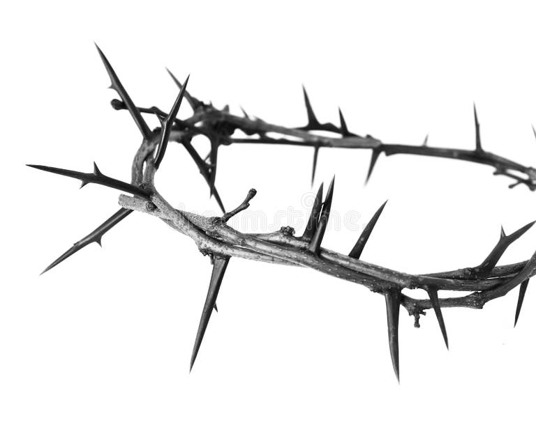 6,232 Jesus Crown Thorns Picture Stock Photos - Free & Royalty-Free ...