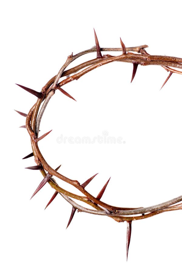 Crown Thorns Stock Photos - Download 5,967 Royalty Free Photos