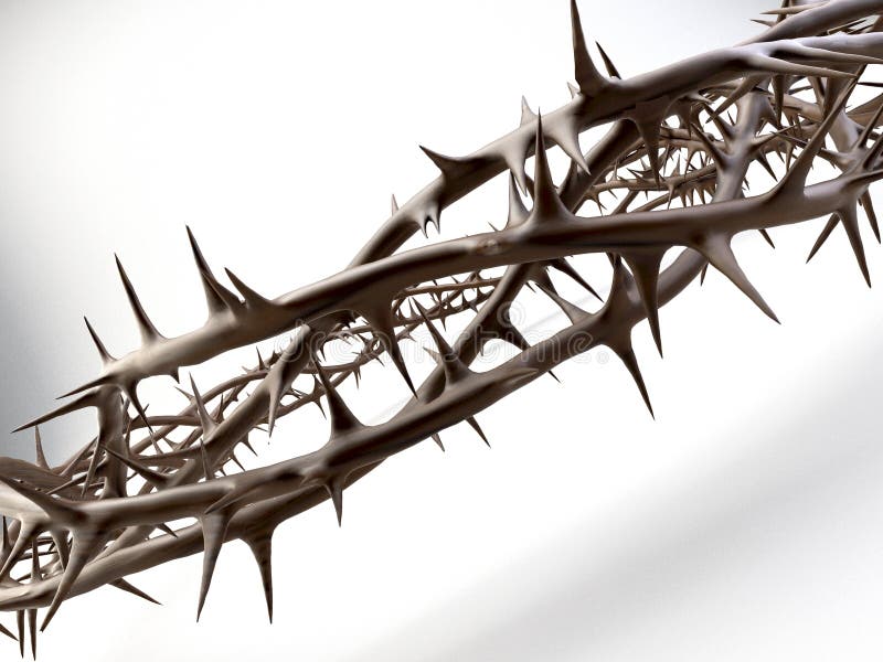 Crown of Thorns stock illustration. Illustration of church - 265424677