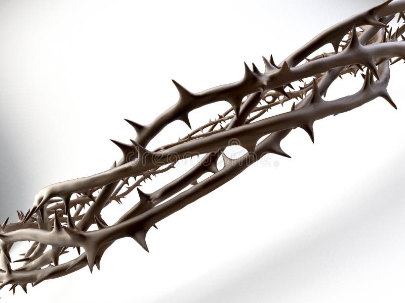 Crown of Thorns stock illustration. Illustration of catholicism - 265424808