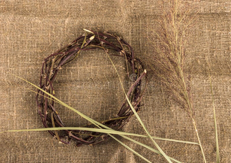 Crown of Thorns and Reed on Brown Textile Background Stock Image ...