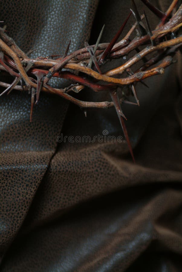 128 Twisted Thorns Stock Photos - Free & Royalty-Free Stock Photos from ...