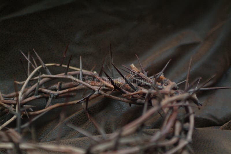 365 Twisted Crown Stock Photos - Free & Royalty-Free Stock Photos from ...