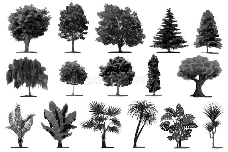 Crowns of Different Trees in the Set. Stock Vector - Illustration of ...