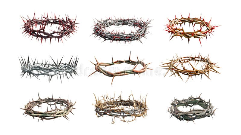 Crowns of Thorns on Transparent Background Stock Illustration ...