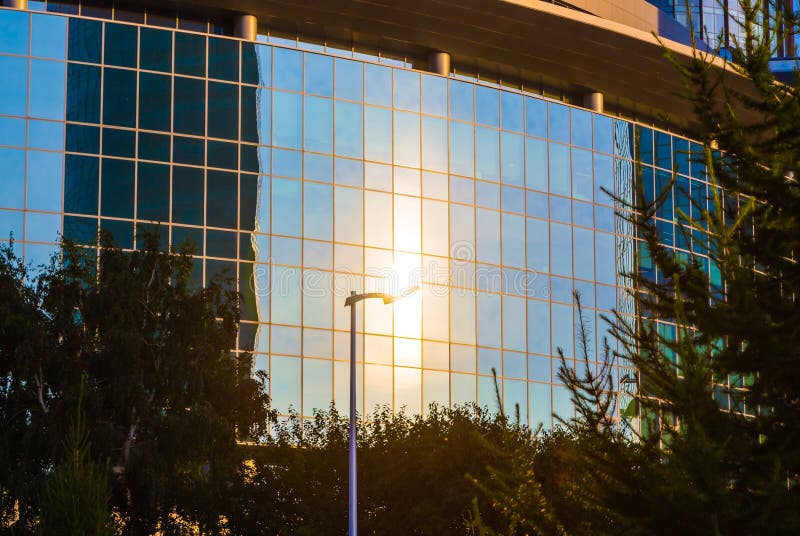 Crowns of Trees Reflecting in the Glass of the Window. Trees and Clouds ...