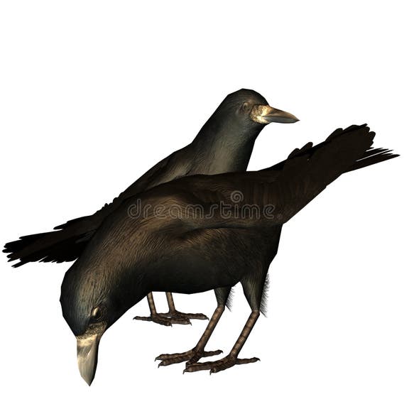 Three Crows Stock Illustrations – 70 Three Crows Stock Illustrations ...