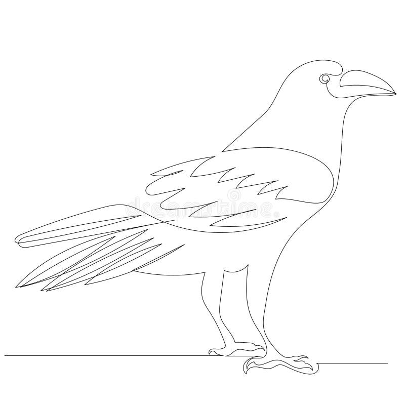 Continuous Line Raven Line Drawing Stock Illustrations – 71 Continuous ...
