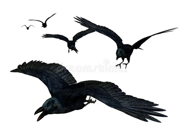 Crows Flying stock illustration. Illustration of flight - 1181651