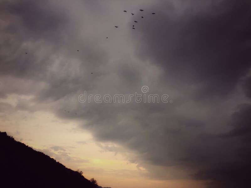 Crows flying stock photo. Image of flying, high, crows - 129437704