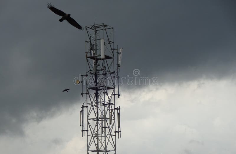 Crows and tower stock photo. Image of clouds, beautiful - 122419164