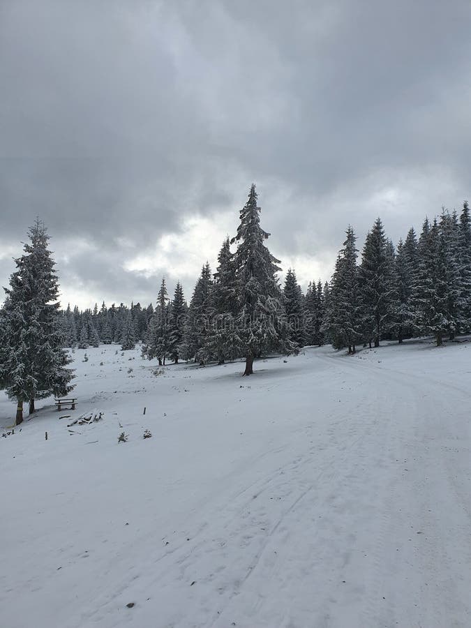 Crucea Iancului Marisel stock image. Image of mountain - 213702409