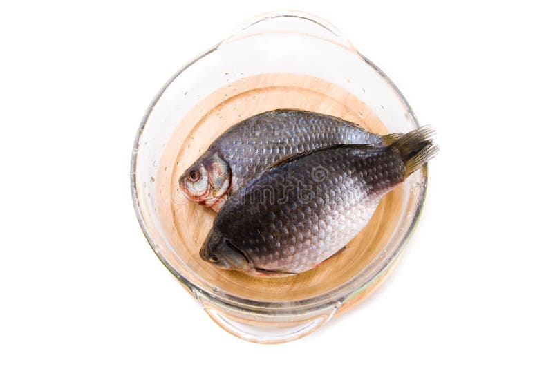 Crucian carp fish stock image. Image of gourmet, nutritive - 13255377