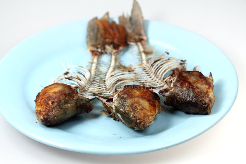 Fish bones stock image. Image of prepared, dish, snack - 11604411