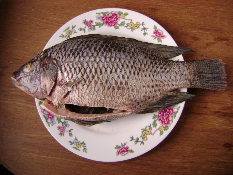 Crucian fish for cooking stock image. Image of prepared - 67096609