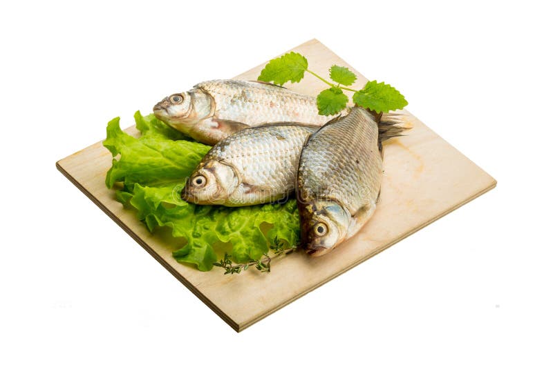 Crucian fish stock image. Image of gourmet, carp, crucian - 45620971