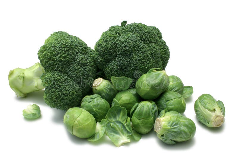 Crucifers stock image. Image of cancer, brussels, green - 3359265