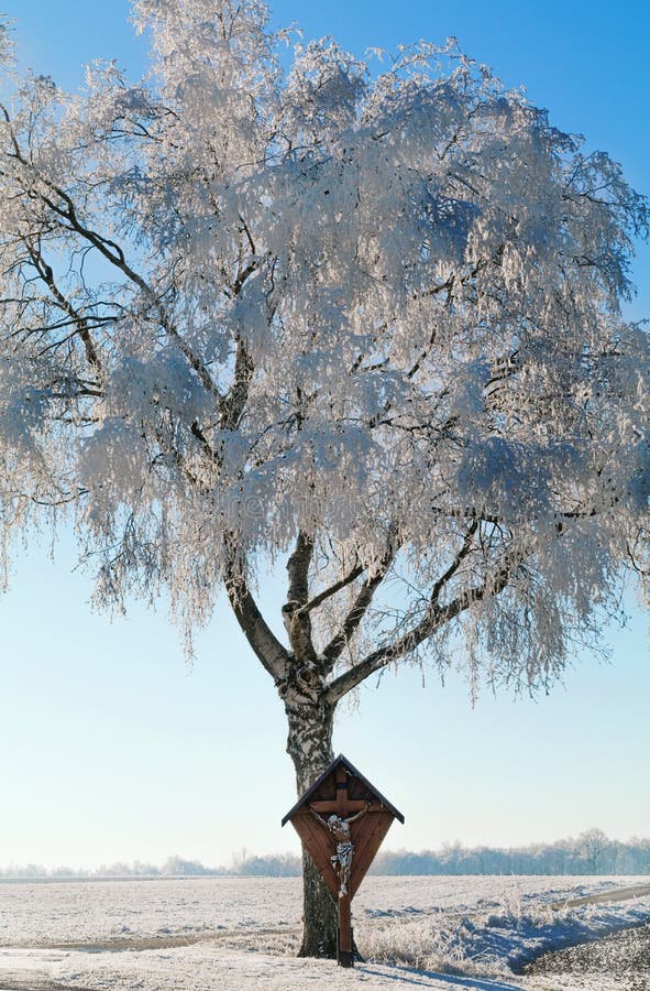 Crucifix Under a Big Tree in Winter Time Stock Image - Image of ...