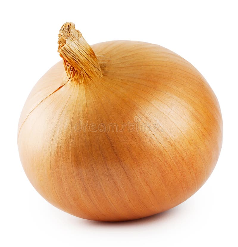 Crude round onion stock photo. Image of food, vegetables - 48143890