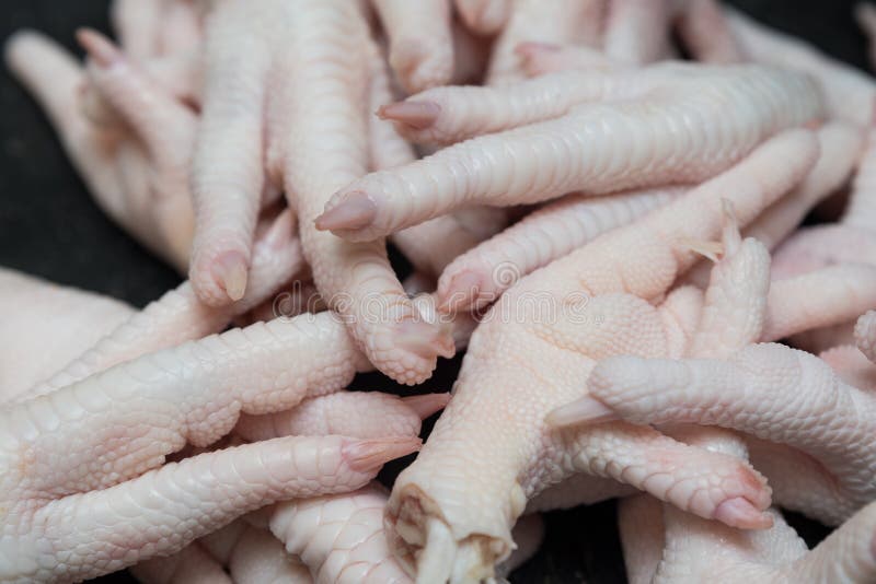 Crudo De Los Pies Del Pollo Limpiado Con Los Dedos Del Pie Imagen de ...