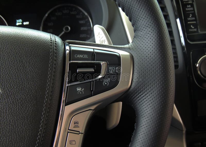 Speed Control and Mode Selectors on the Multifunction Steering Wheel ...
