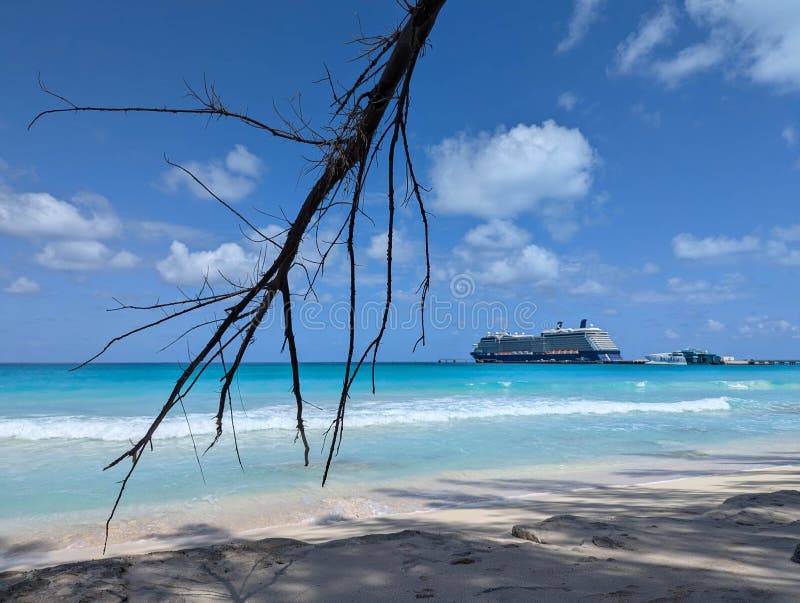 Cruise Ship in Front of the Beach in Bimini Editorial Image - Image of ...