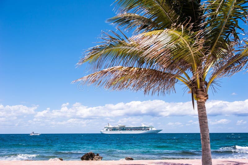 Cruise Ship in the Middle of a Tranquil Ocean with a Palm Tree in the ...