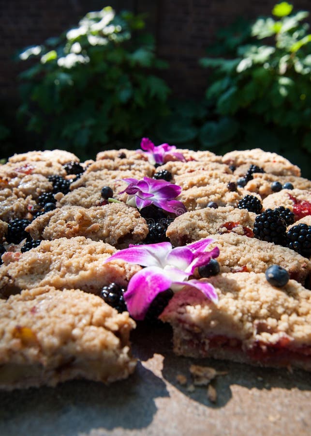 Crumb Bars stock photo. Image of homemade, assorted, gourmet - 69797826