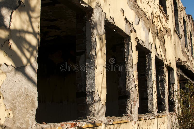 Crumbling Grunge Brick Wall With Ivy. Stock Image - Image of branched ...