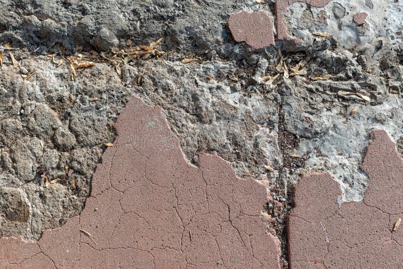 Crumbling Concrete Floor Closeup Stock Image - Image of above, branches ...