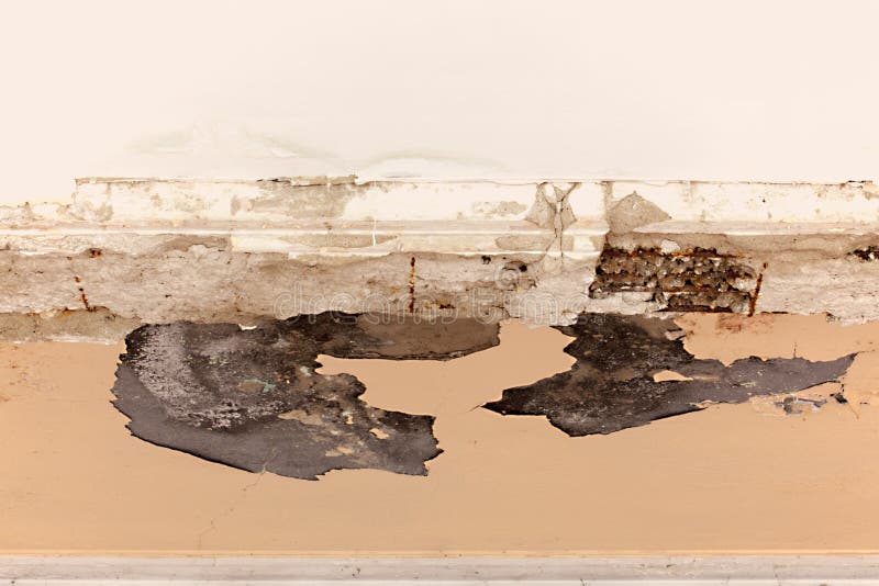 Crumbling Ceiling With Hanging Insulation Destroyed By Moisture Stock ...