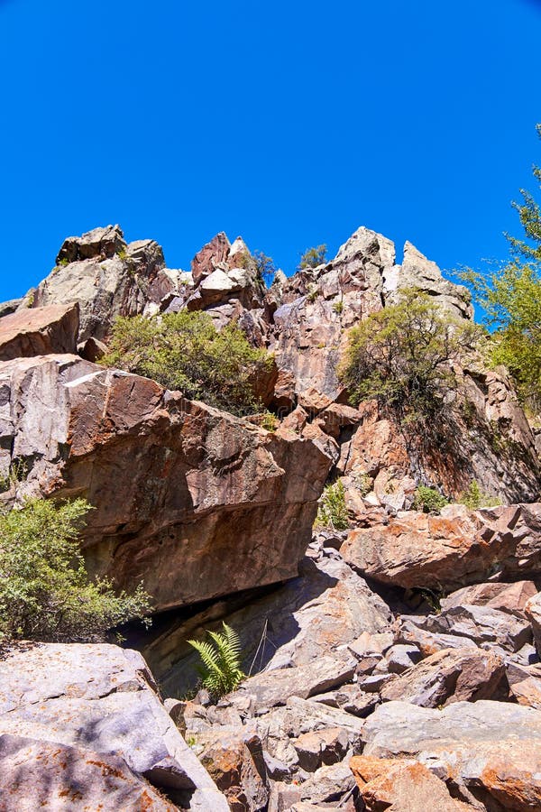 Crumbling Rocks Fallen Off the Cliff with Trees Growing on it Stock ...