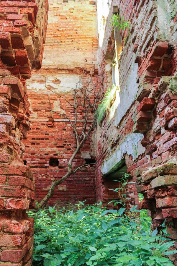 The Crumbling Walls of the Old Building. Stock Photo - Image of wonder ...